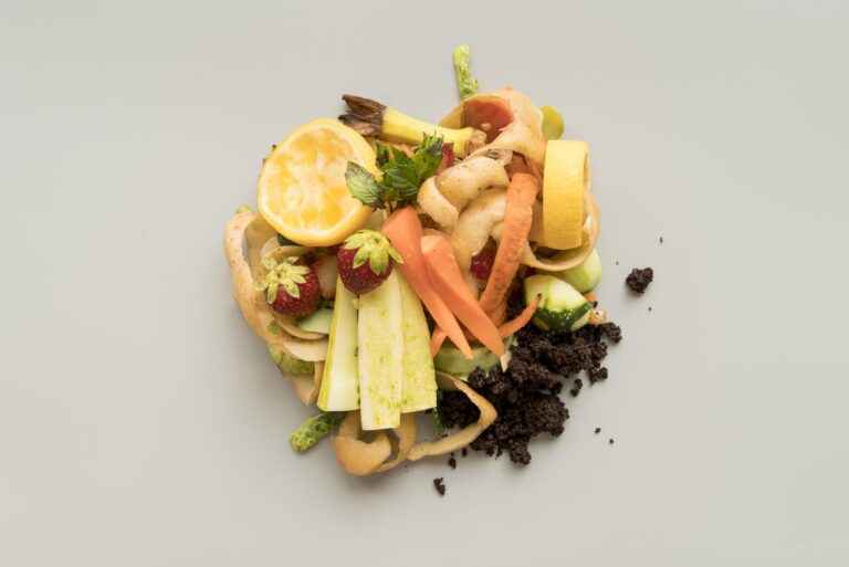 On the Approval of the Food Waste Management Concept - Georgia Circular ...