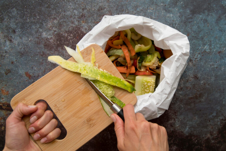The High Cost of Waste: Why Tackling Food Waste Matters - Georgia ...